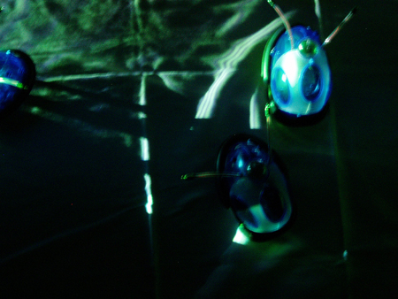 Robotica II: - Robots Mating. What robots get up to after dark. 2004/5 ...