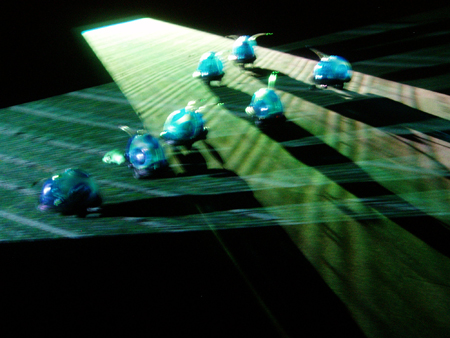 Robotica II: - Robots Mating. What robots get up to after dark. 2004/5 ...